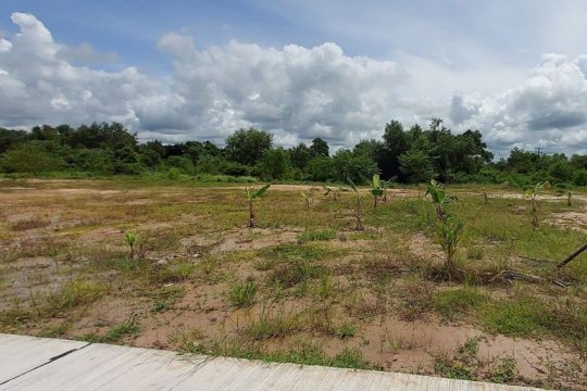 Land for Sale in Rayong | Thailand-Property