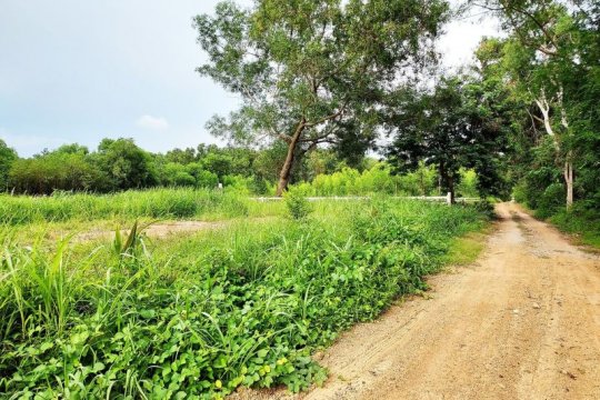 Land for Sale in Rayong | Thailand-Property